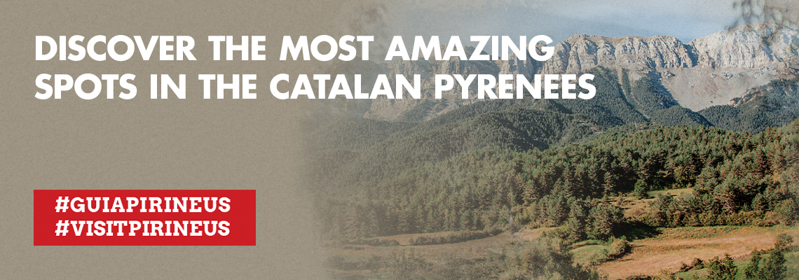| Visit Pirineus