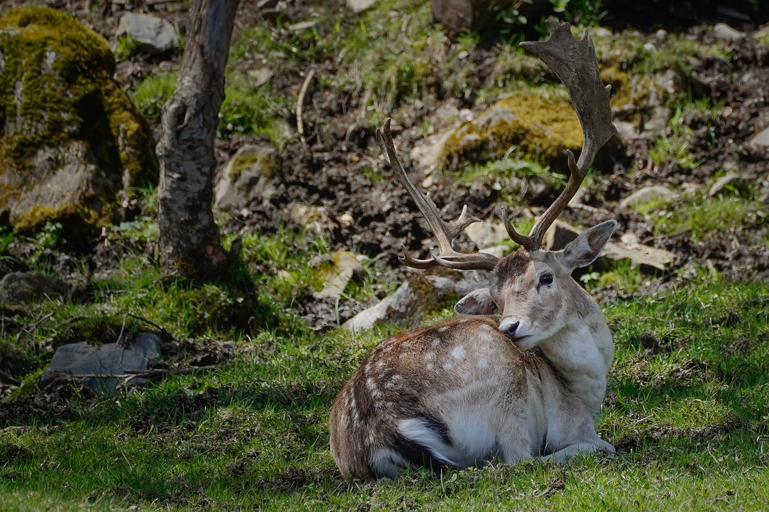 Val d'Aran | Visit Pirineus