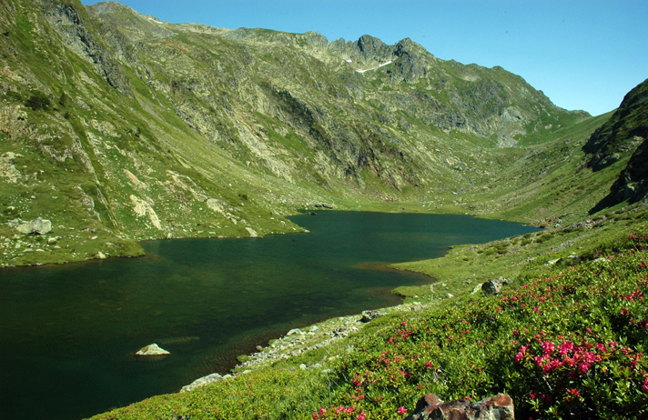 Alt Pirineu Natural Park | Visit Pirineus